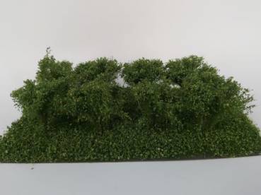 Mininatur - Microbüsche Sommer